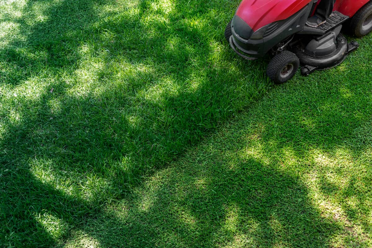 Domestic & Commercial Grass Cutting Bath, Trowbridge, Chippenham